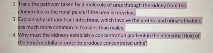 Solved 2. Trace the pathway taken by a molecule of urea | Chegg.com
