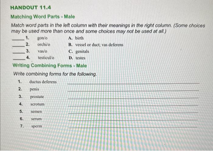 [Solved]: 11.3 Matching Structures and Functions - Female Ma