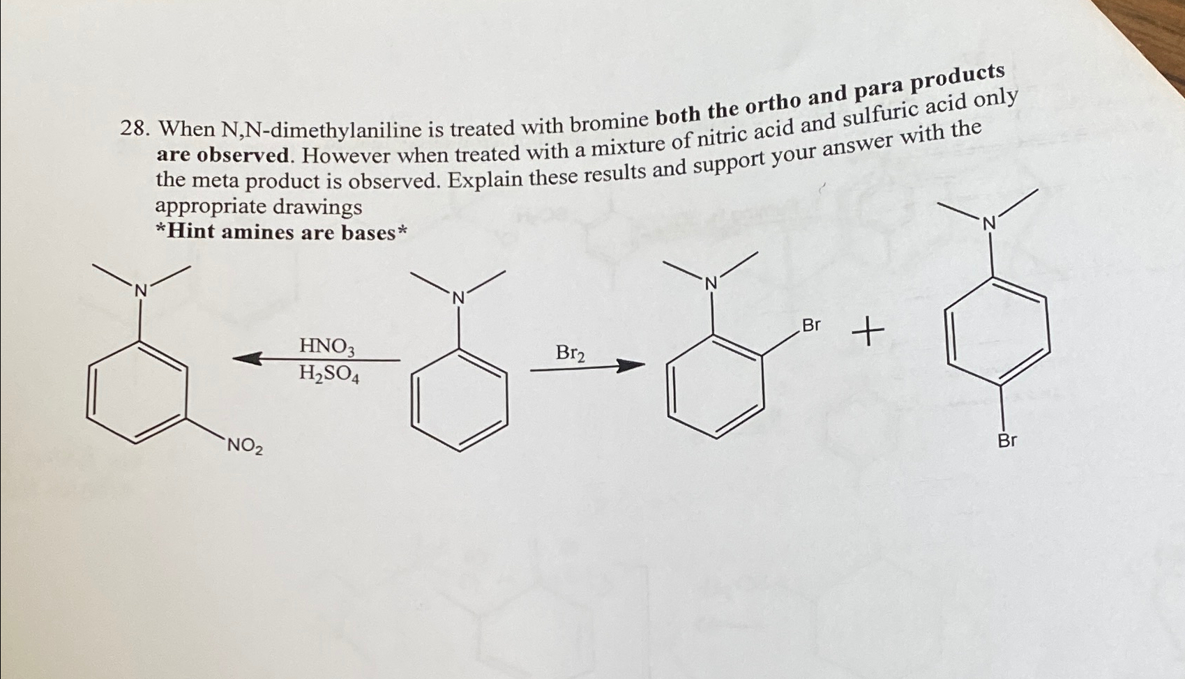 Solved When N,N-dimethylaniline is treated with bromine both | Chegg.com