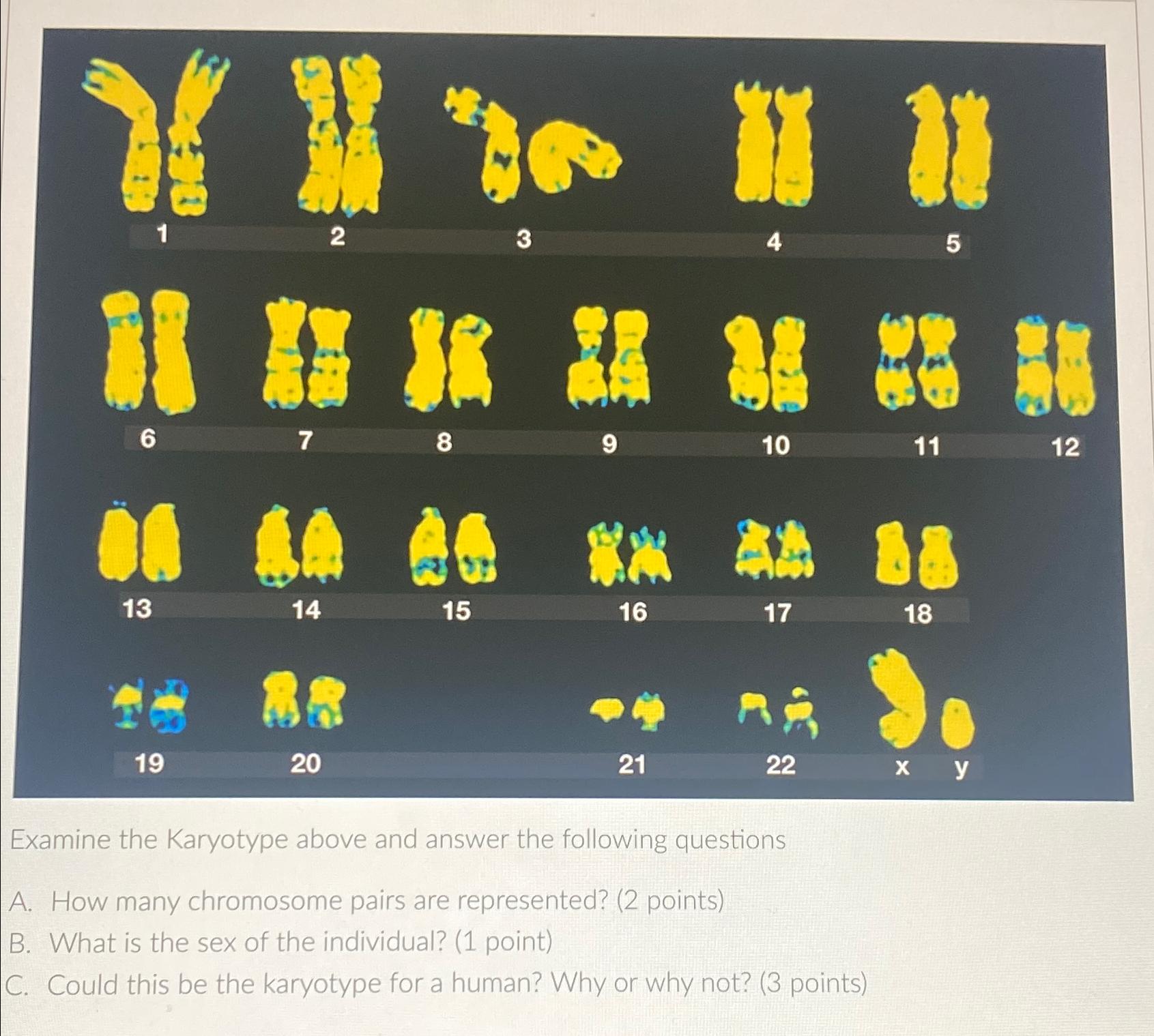 Solved Examine the Karyotype above and answer the following | Chegg.com