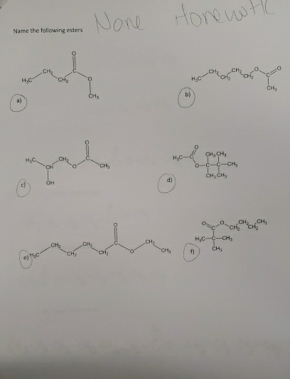 Solved Please help Name the following esters | Chegg.com