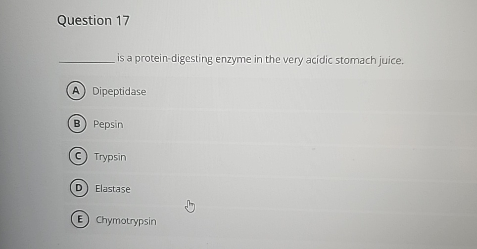 Solved Question 17is a protein-digesting enzyme in the very | Chegg.com