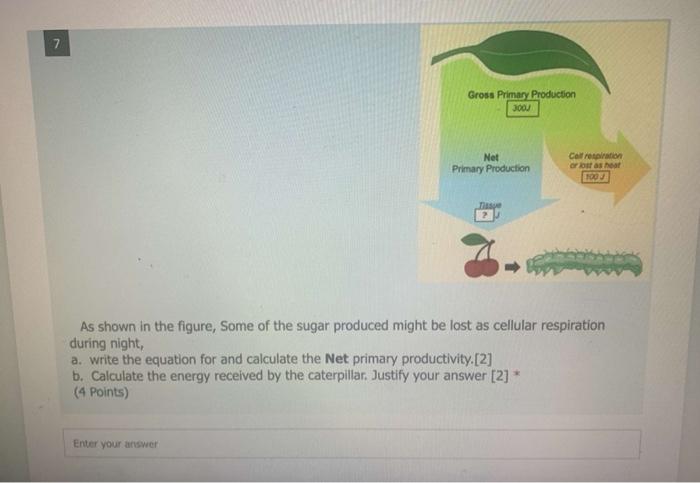 Solved 7 Gross Primary Production 3000 Net Primary | Chegg.com