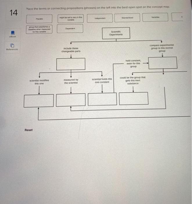 Place the terms or connecting propositions phrases) | Chegg.com