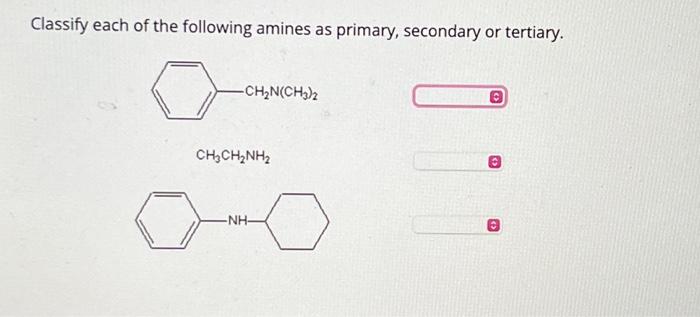 Solved Classify each of the following amines as primary, | Chegg.com
