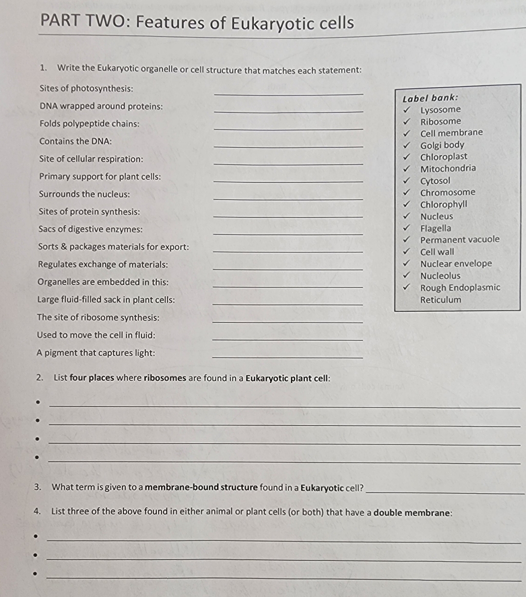 Solved PART TWO: Features of Eukaryotic cellsWrite the | Chegg.com