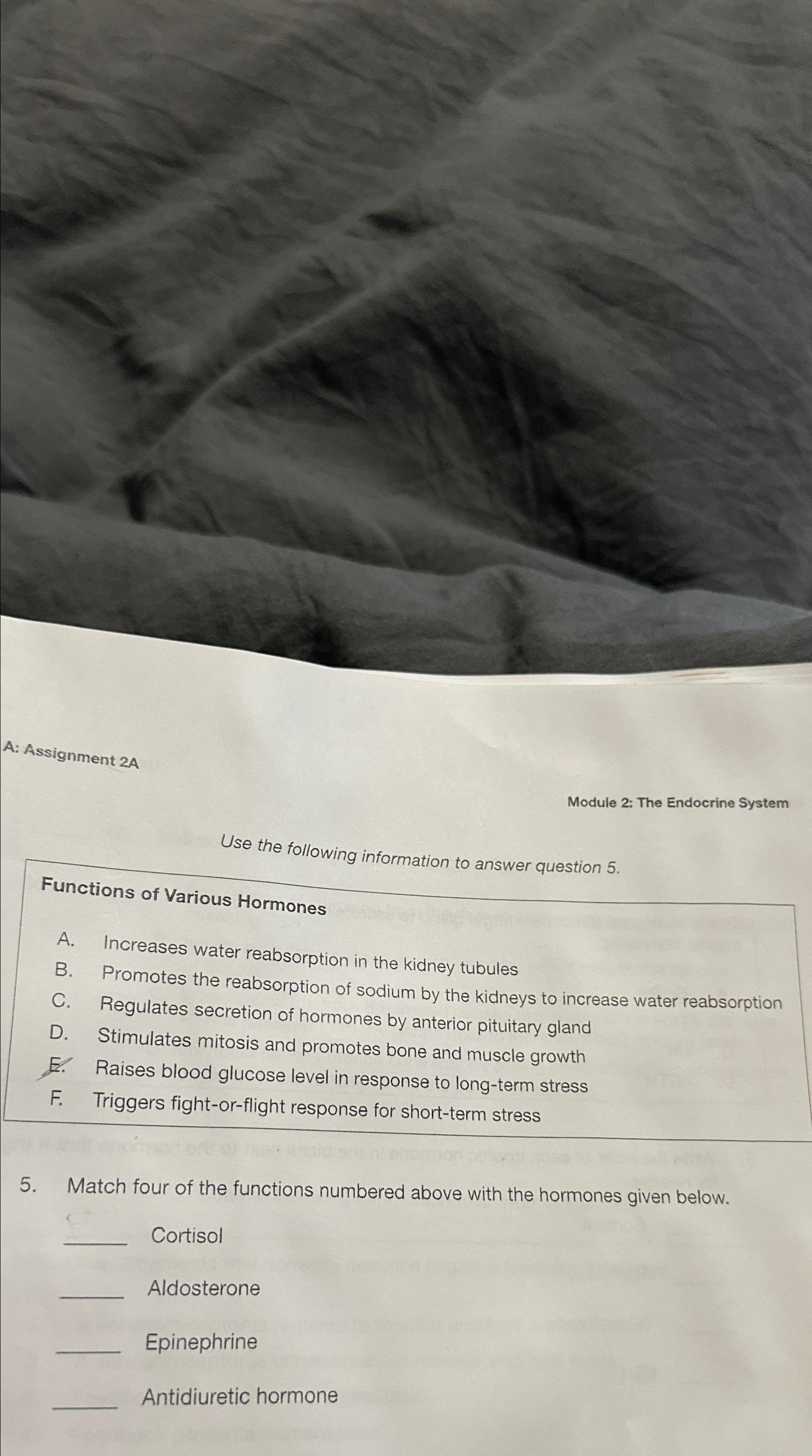 Solved A: Assignment 2AModule 2: The Endocrine SystemUse the | Chegg.com