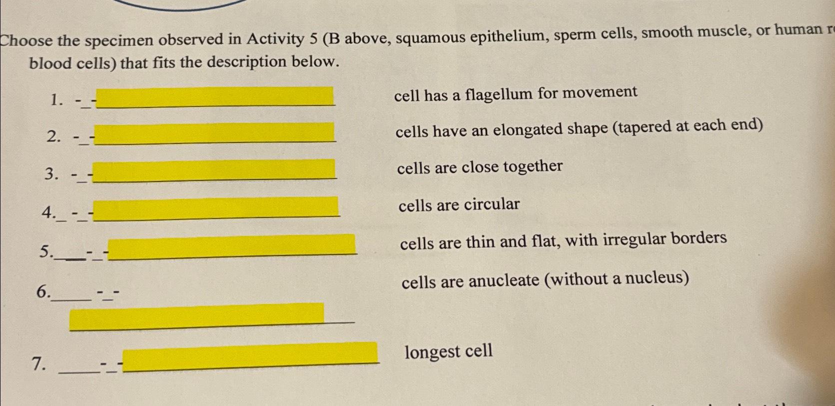 Solved Choose the specimen observed in Activity 5 (B above, | Chegg.com