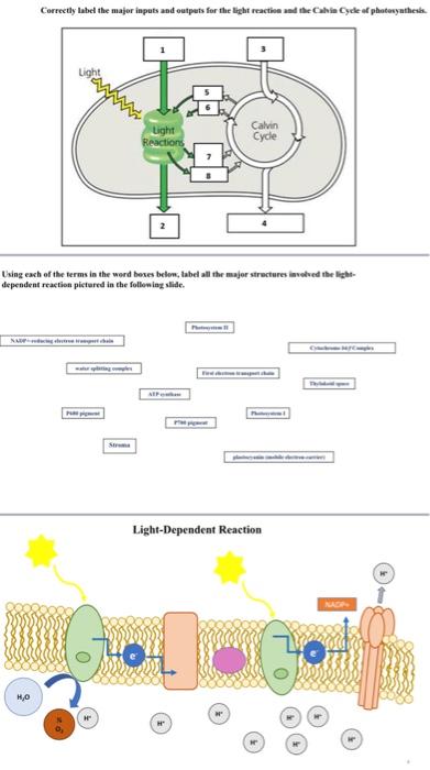 Correctly label the major inputs and outputs for the | Chegg.com