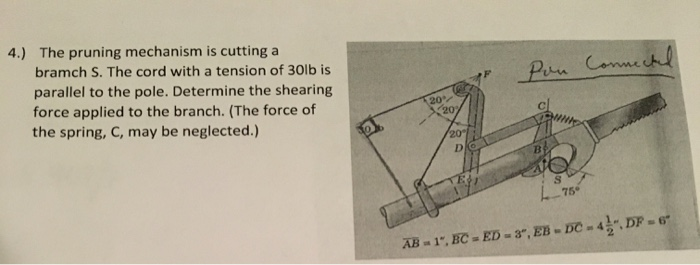 Solved Connected IF pon 4.) The pruning mechanism is cutting | Chegg.com