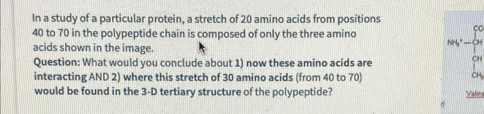 Solved In a study of a particular protein, a stretch of 20 | Chegg.com