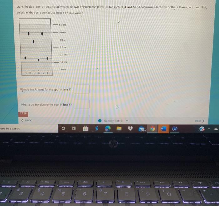 Solved Using the thin-layer chromatography plate shown | Chegg.com
