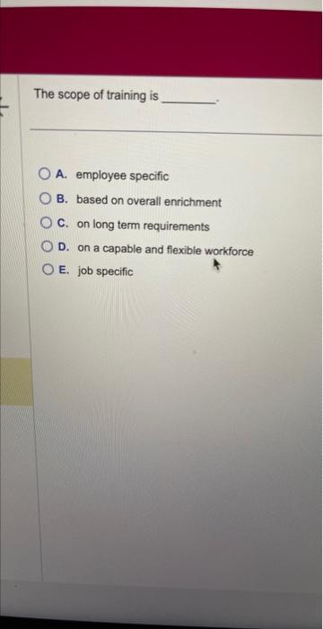 Solved The scope of training is A. employee specific B. | Chegg.com