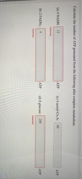 Solved Calculate the number of ATP generated from the | Chegg.com