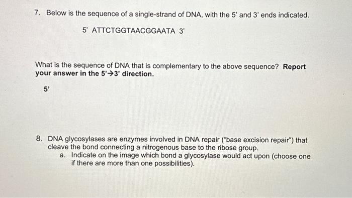 Solved 7. Below is the sequence of a single-strand of DNA, | Chegg.com