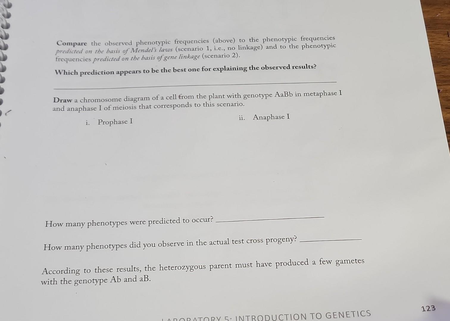 Solved Observe the corn cob on display that shows a sample | Chegg.com