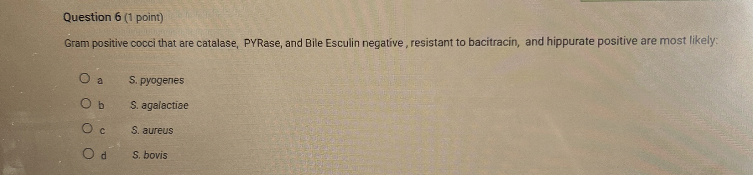 Solved Question 6 (1 ﻿point)Gram positive cocci that are | Chegg.com