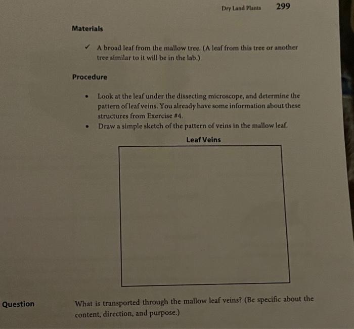 Solved Materials A broad leaf from the mallow tree. (A | Chegg.com