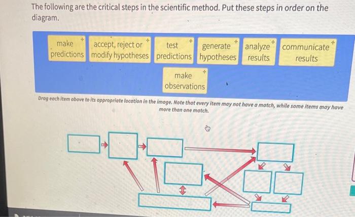 Solved The following are the critical steps in the | Chegg.com