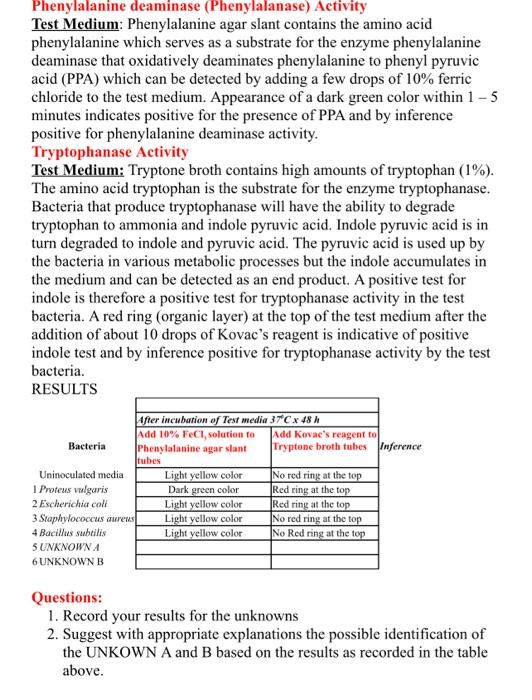 Phenylalanine deaminase (Phenylalanase) Activity Test | Chegg.com