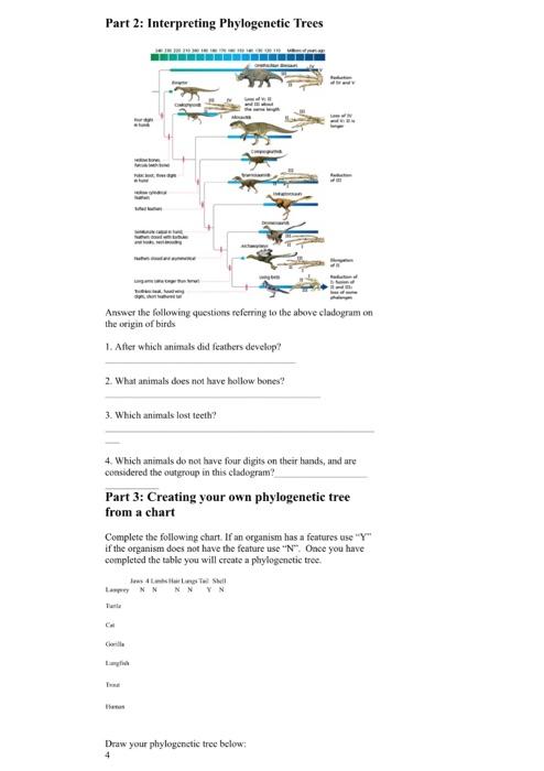 Part 2: Interpreting Phylogenetic Trees Answer the | Chegg.com