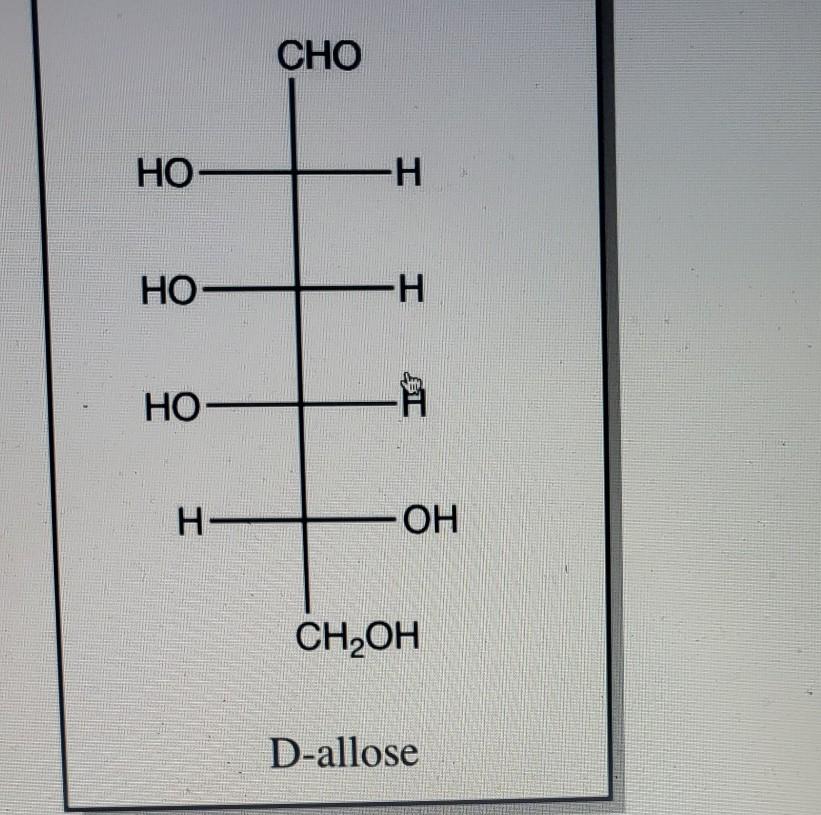 Solved The Fischer projection of D-allose is shown below. | Chegg.com