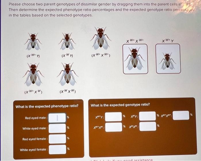 Solved Please choose two parent genotypes of dissimilar | Chegg.com