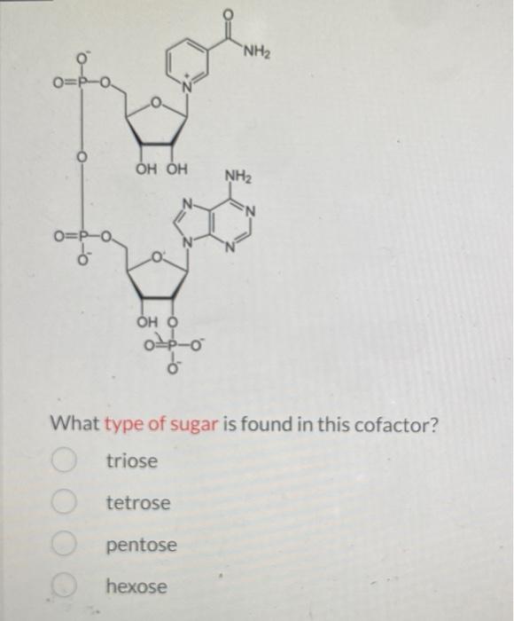 Solved What type of sugar is found in this cofactor? triose | Chegg.com