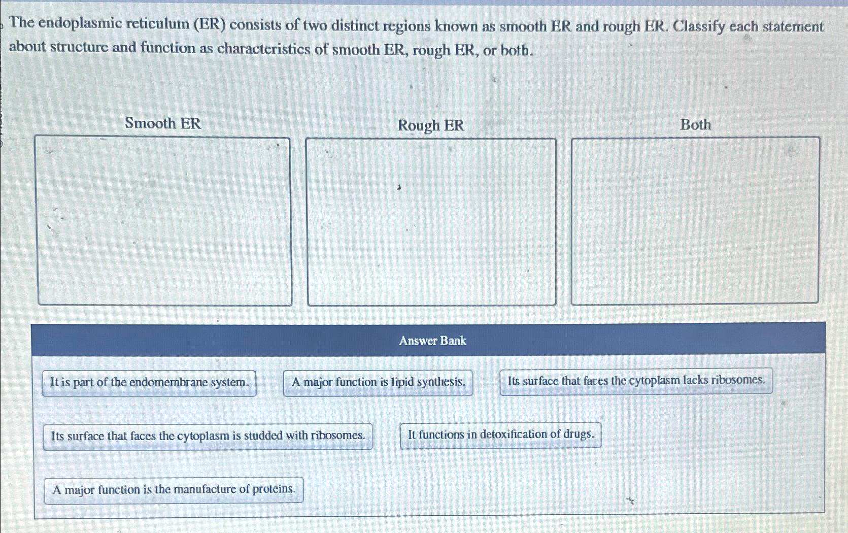 Solved The endoplasmic reticulum (ER) ﻿consists of two | Chegg.com