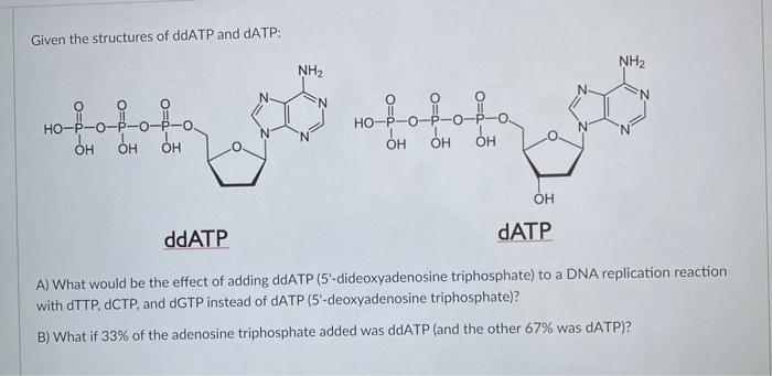 Solved Given the structures of ddATP and dАTP: NH2 NH2 N | Chegg.com