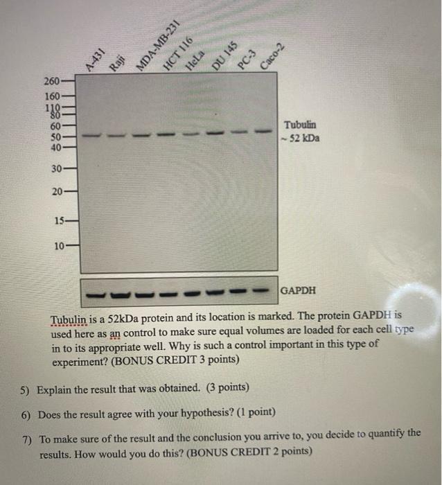 Solved Question 2 (10 points) As part of a large scale study | Chegg.com