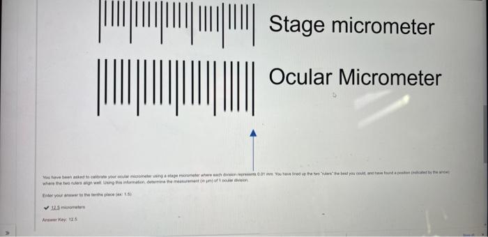 Solved |||||||||||||||||||||| ∣ Stage micrometer Ocular | Chegg.com