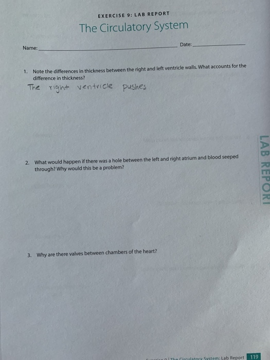 Solved EXERCISE 9: LAB REPORT The Circulatory System Name: | Chegg.com