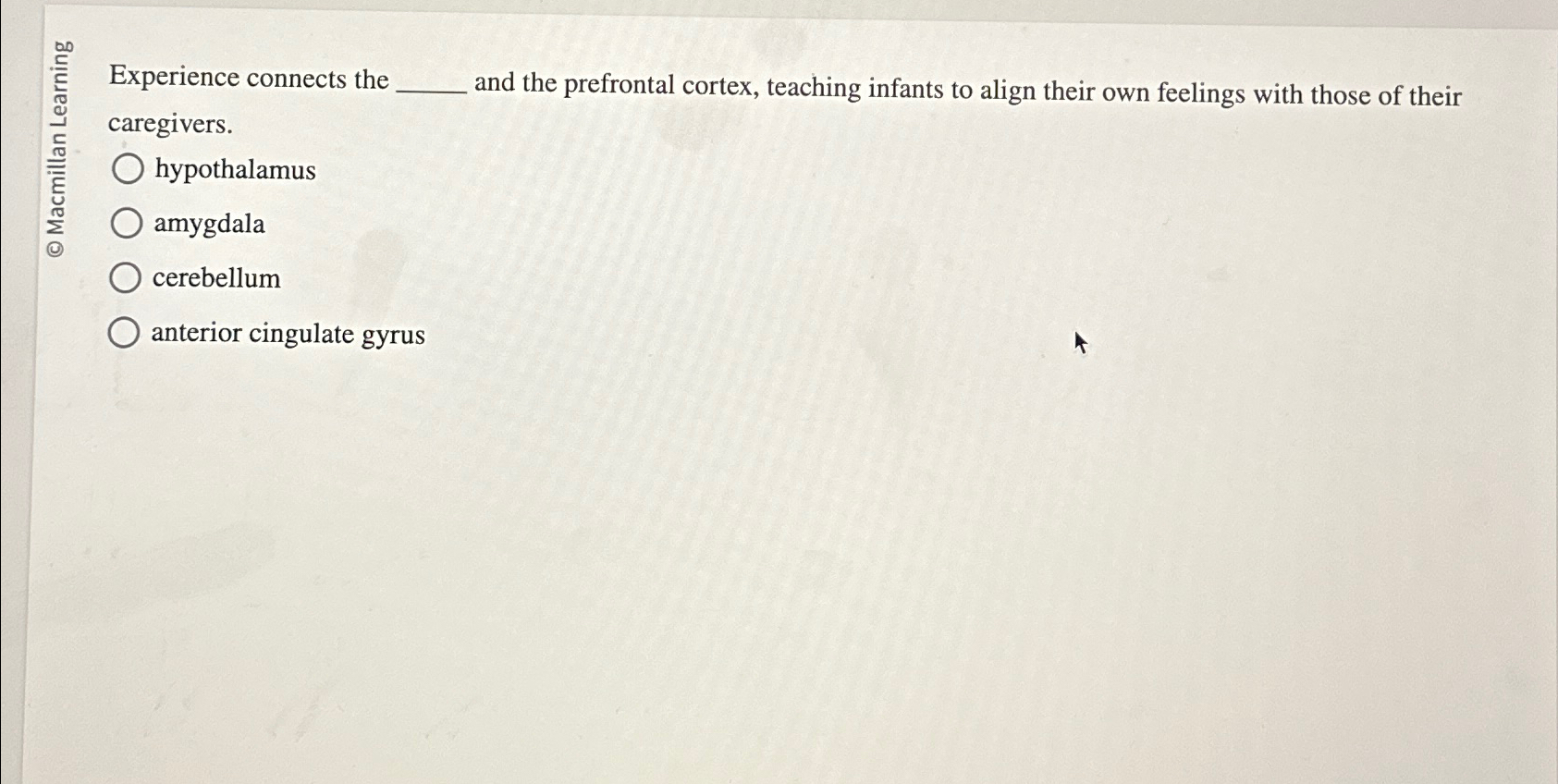 Solved Experience connects the and the prefrontal cortex, | Chegg.com