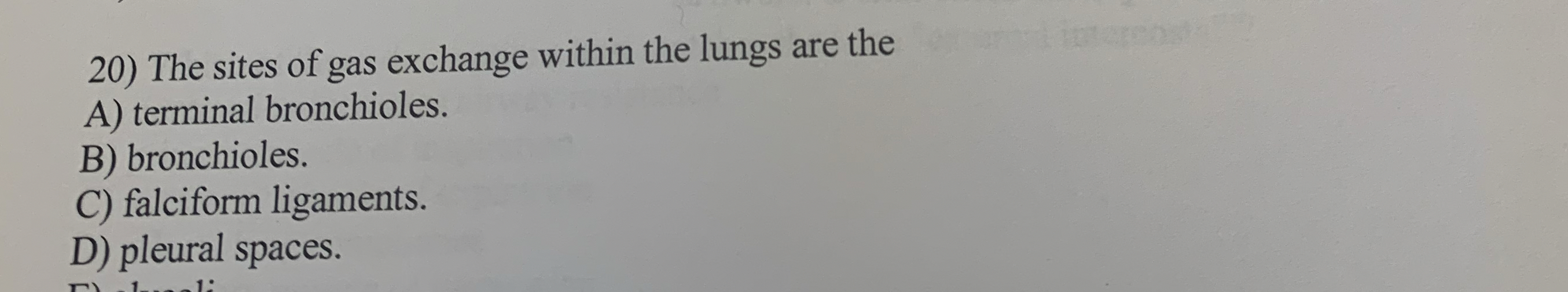 Solved The lungs are divided into lobes by structures | Chegg.com