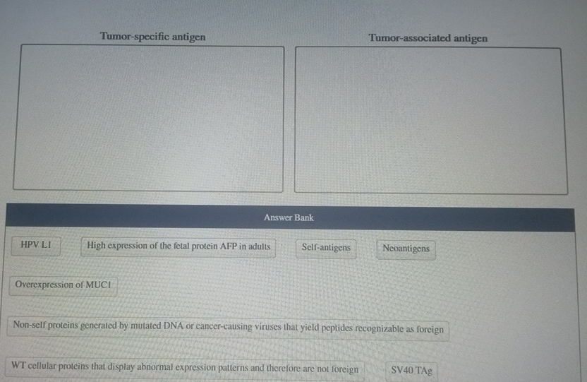 Solved Tumor-specific antigenTumor-associated antigenAnswer | Chegg.com