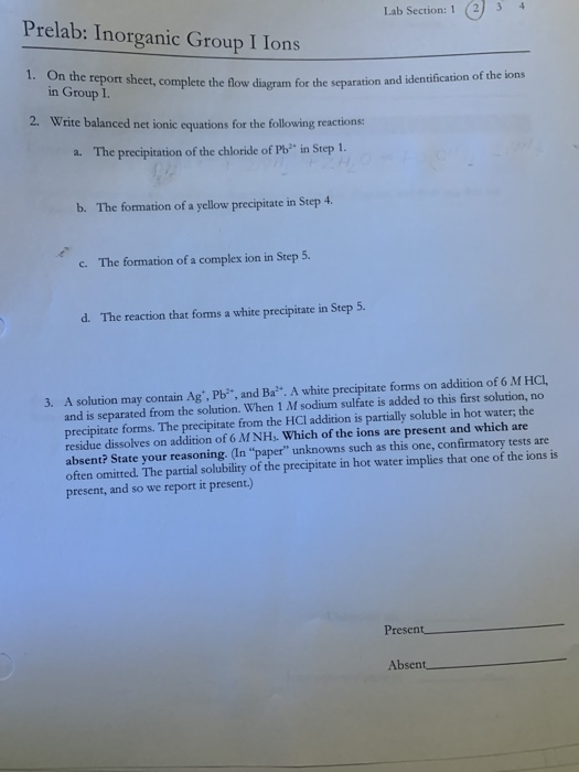 Solved Lab Section: 1 Prelab: Inorganic Group I Ions 1. On | Chegg.com