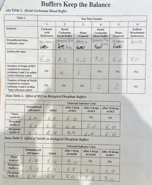 Solved Buffers Keep the Balance ata Table 1. Model Carbonate | Chegg.com