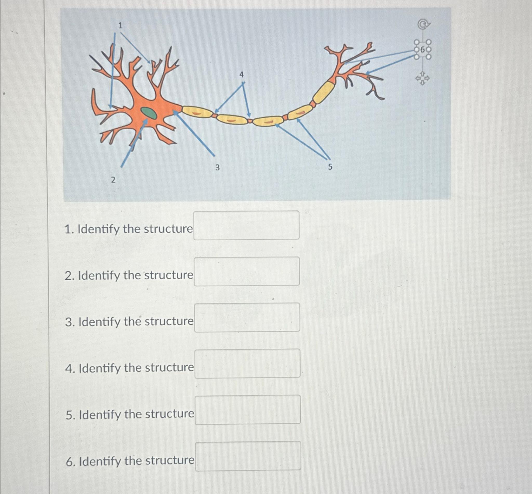 Solved Identify the structureIdentify the structureIdentify | Chegg.com