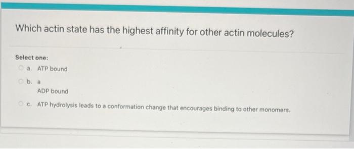 Solved Which actin state has the highest affinity for other | Chegg.com