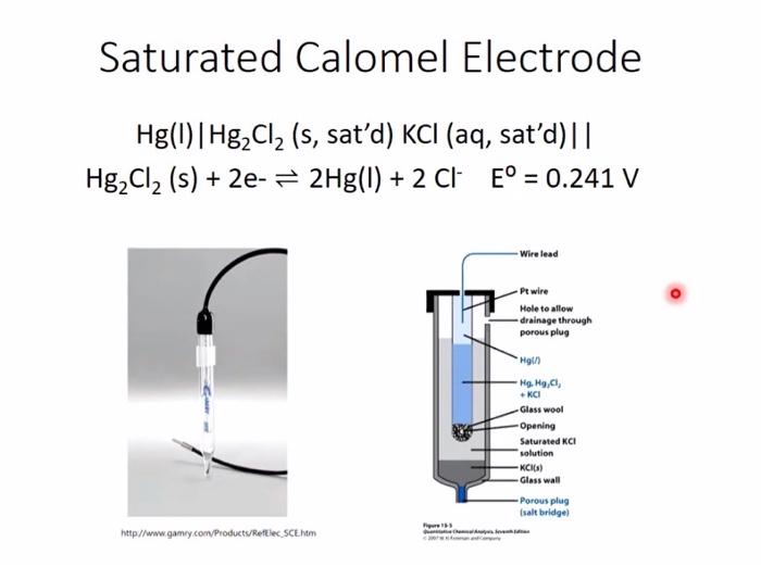 Solved Saturated Calomel Electrode Hg(1)| Hg2Cl2 (s, sat'd) | Chegg.com