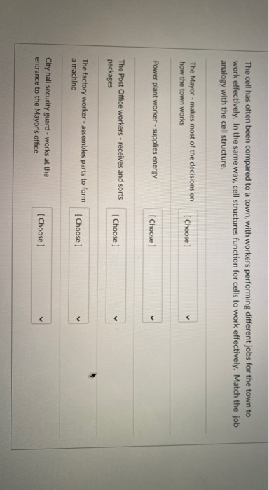 Solved Match the following cellular structure with the | Chegg.com