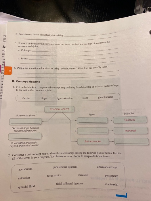 Solved Structure Instructions CHART Work with your lab group | Chegg.com