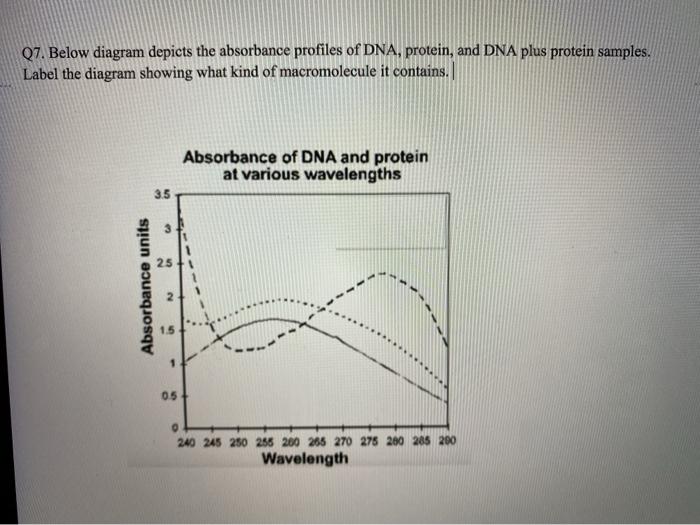 Solved Q7. Below diagram depicts the absorbance profiles of | Chegg.com