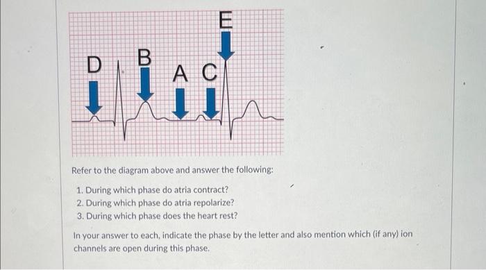 Solved Refer to the diagram above and answer the following: | Chegg.com