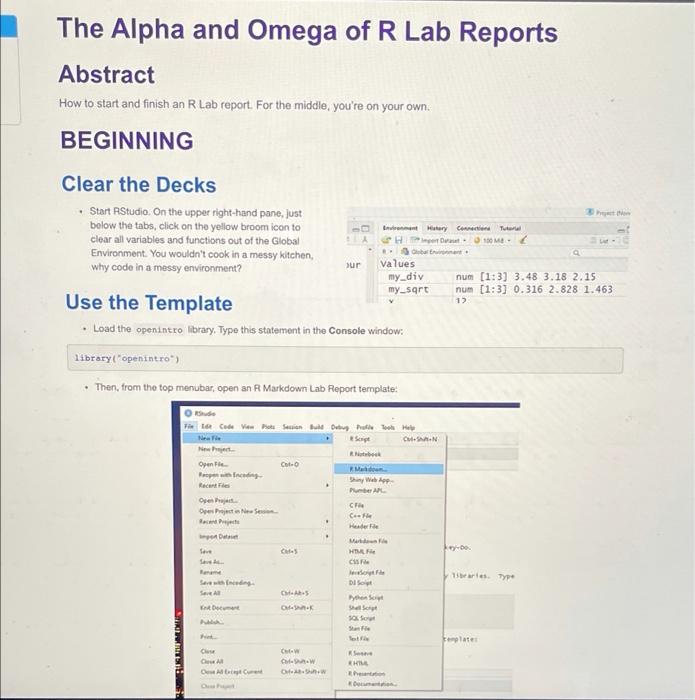 The Alpha and Omega of R Lab Reports Abstract How to | Chegg.com