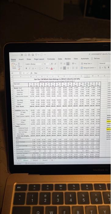 ome Insert Draw Page Layout Formulas Data Review View | Chegg.com