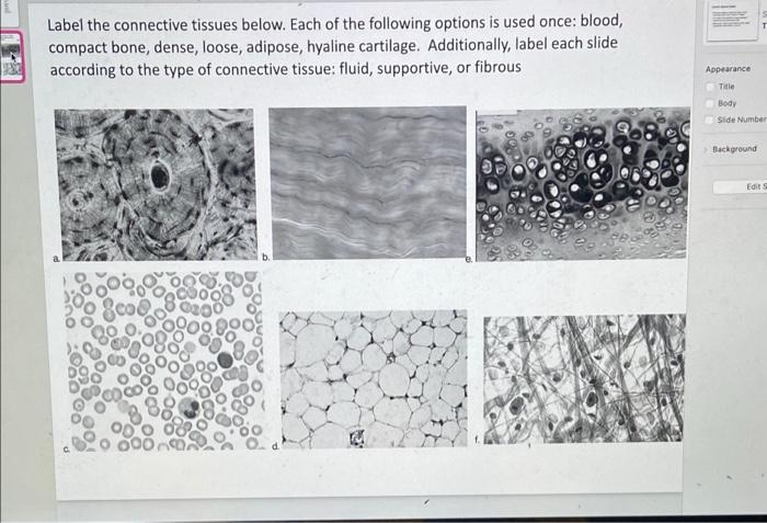 Solved 2 Appear Three types Tui Hod Side Back IT Word Bank | Chegg.com