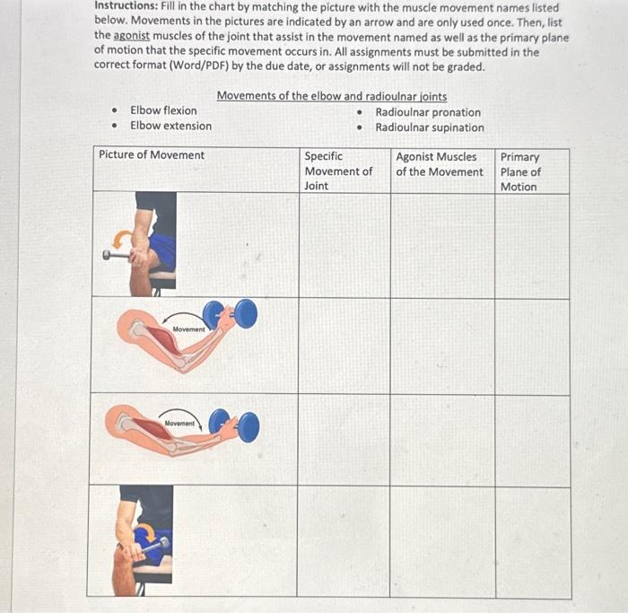 Solved Instructions: Fill in the chart by matching the | Chegg.com