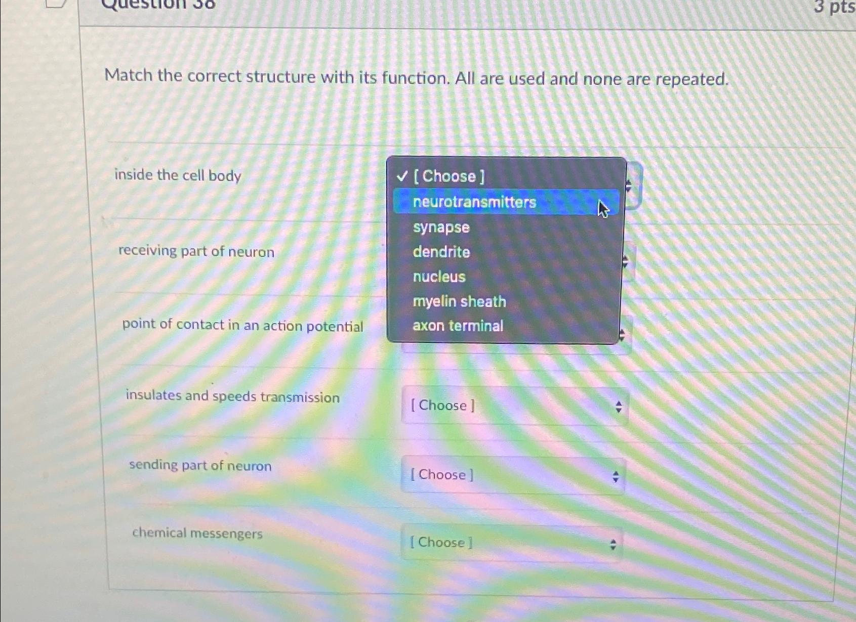 Solved Match the correct structure with its function. All | Chegg.com